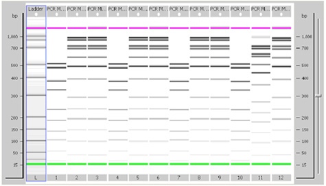 Principles of Sample Analysis on a Chip | Centre for Molecular Medicine ...