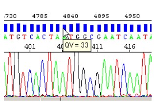 DNA Sequencing Protocol Notes | Centre for Molecular Medicine and ...